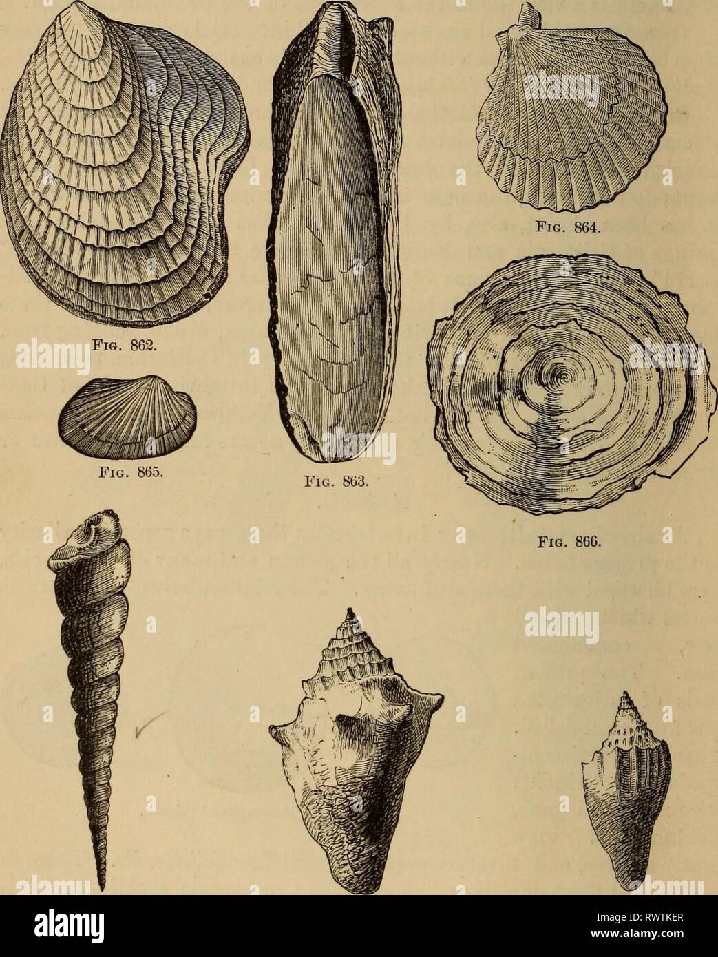 Elements of geology a Stock Photo - Alamy