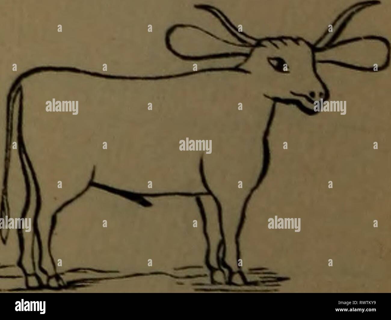 Elliot's book of forms; (1881 Stock Photo - Alamy