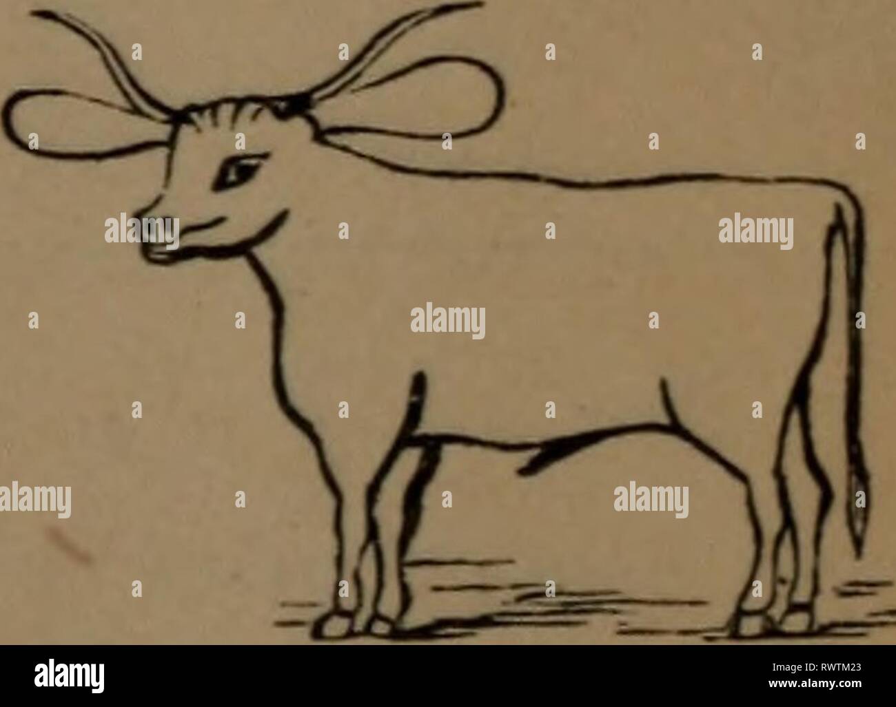 Elliot's book of forms; (1881 Stock Photo - Alamy