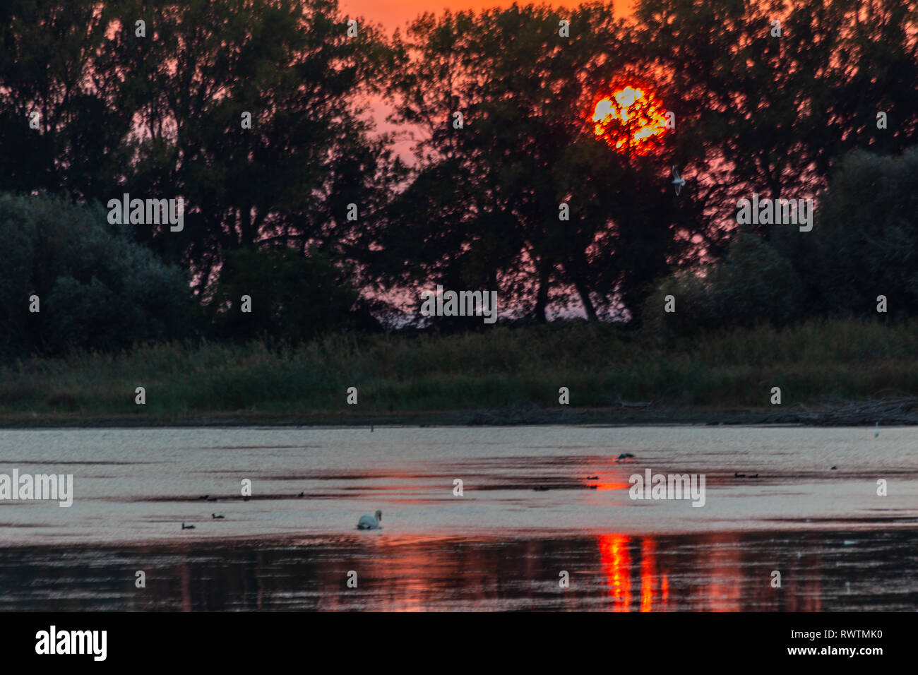 Sunset scene over lake, with sun coming down behind some trees and ...