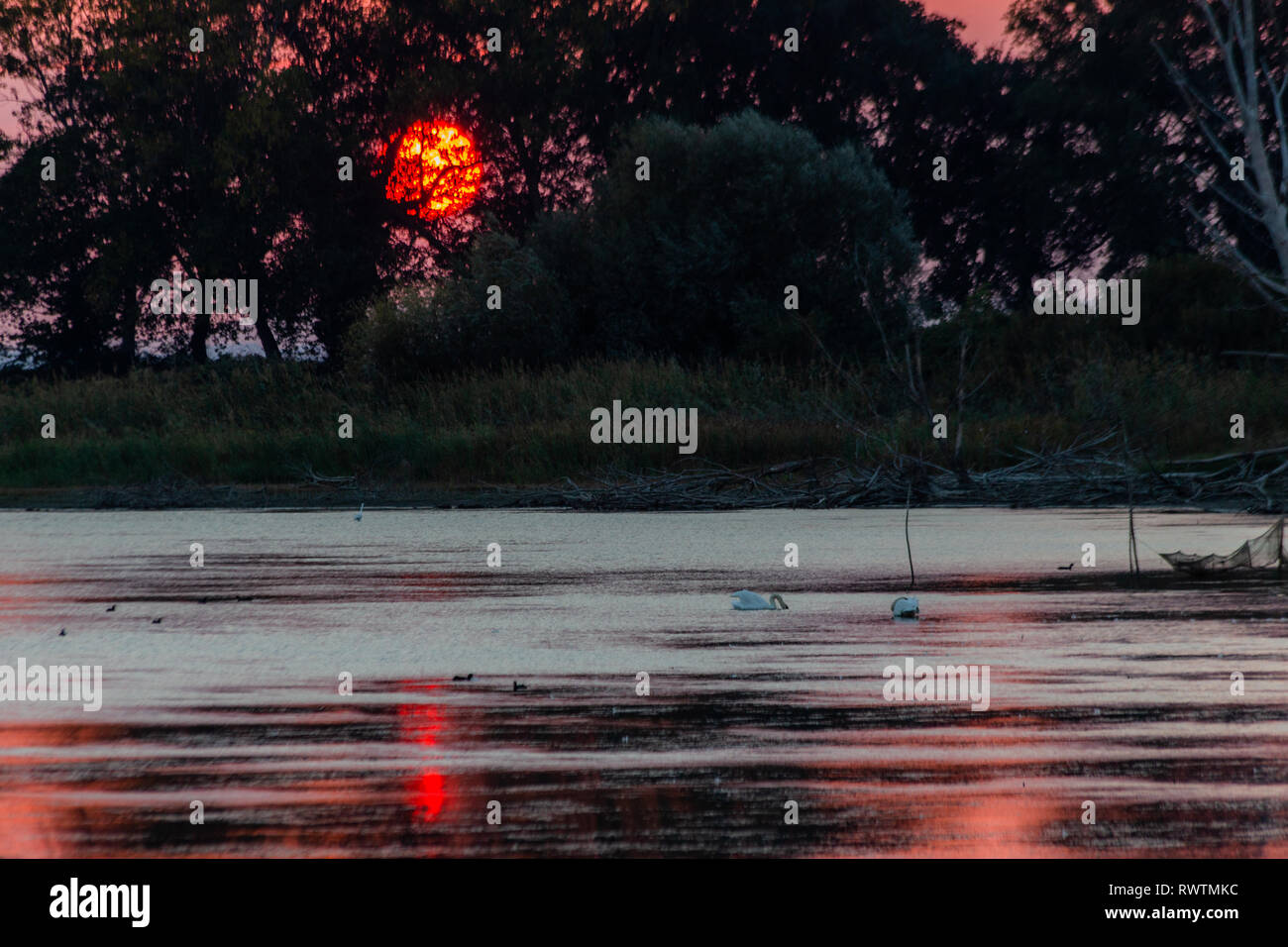 Sunset scene over lake, with sun coming down behind some trees and ...