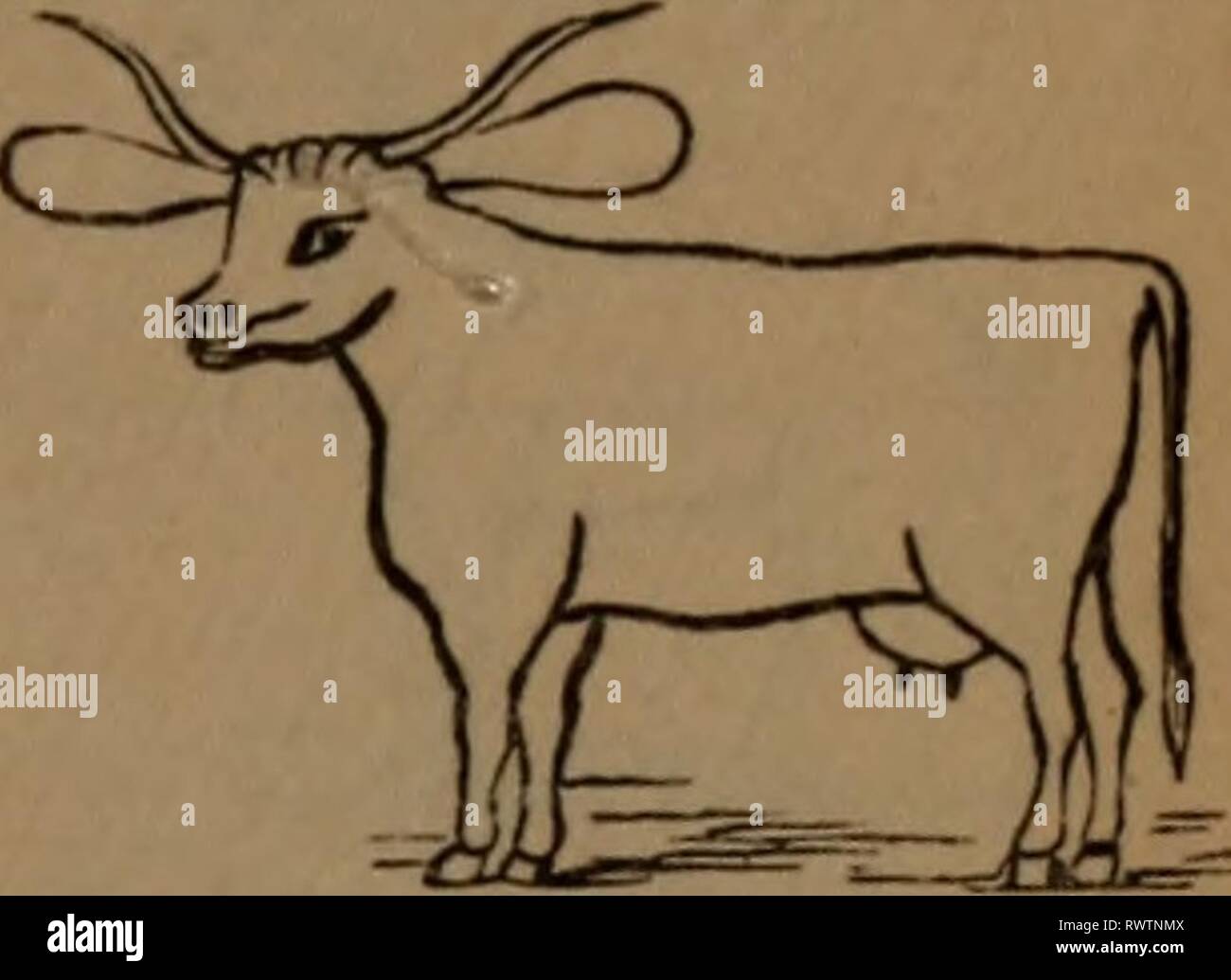 Elliot's book of forms; (1881 Stock Photo - Alamy