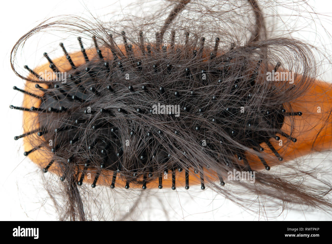 Hairloss problem. Hairbrush with lost hair on it, isolated on white ...