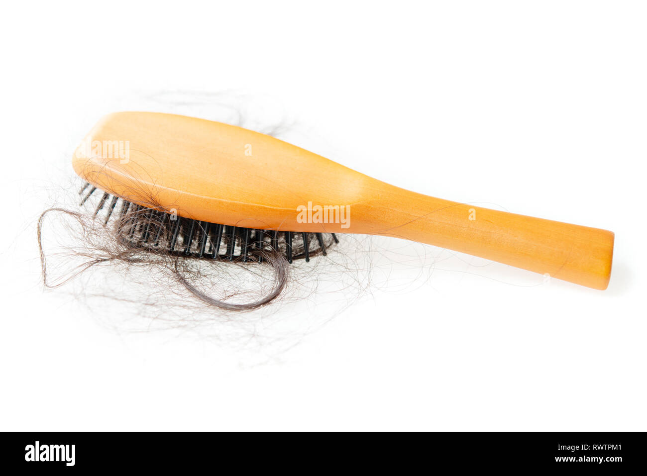 Hairloss problem. Hairbrush with lost hair on it, isolated on white ...