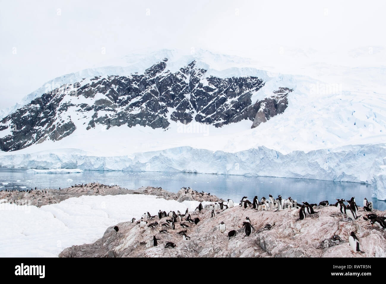 Danco island antarctica hi-res stock photography and images - Alamy