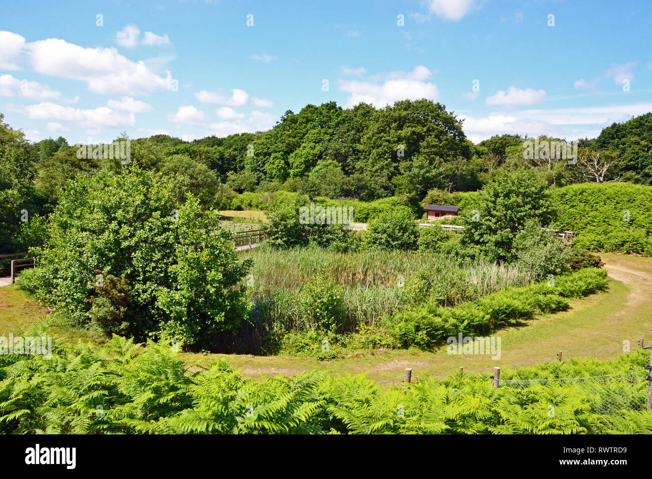 Minsmere wetlands hi-res stock photography and images - Alamy