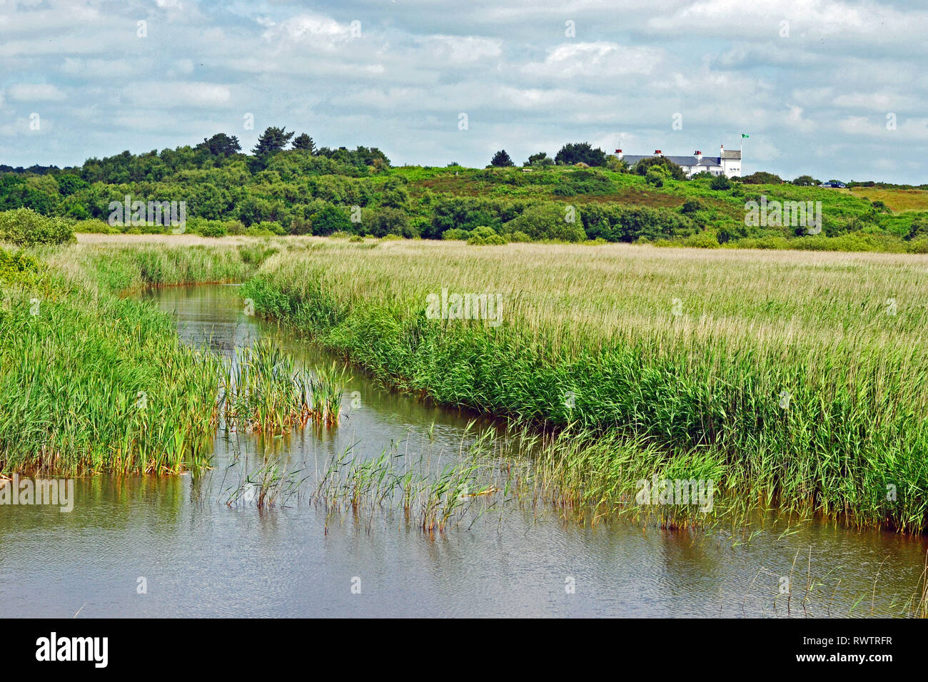 Wetland Marshes at RSPB Minsmere Nature Reserve Stock Photo - Alamy