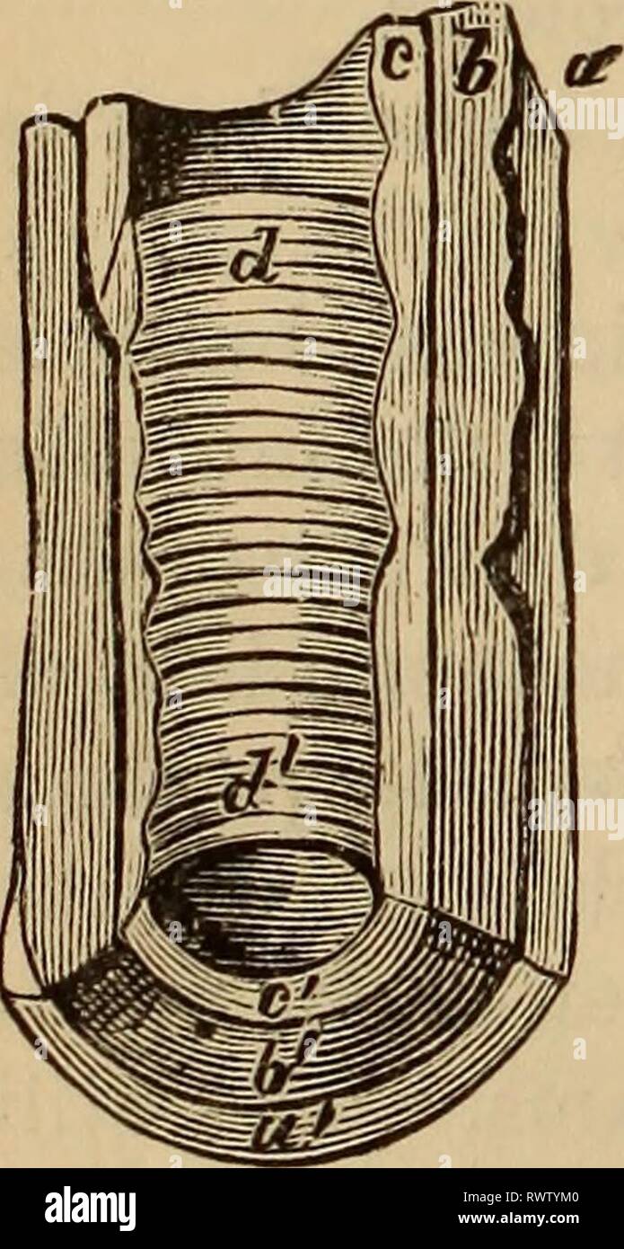Elements of geology a Stock Photo - Alamy