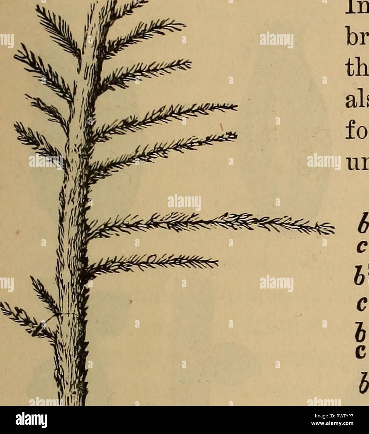 Elements of geology a Stock Photo - Alamy