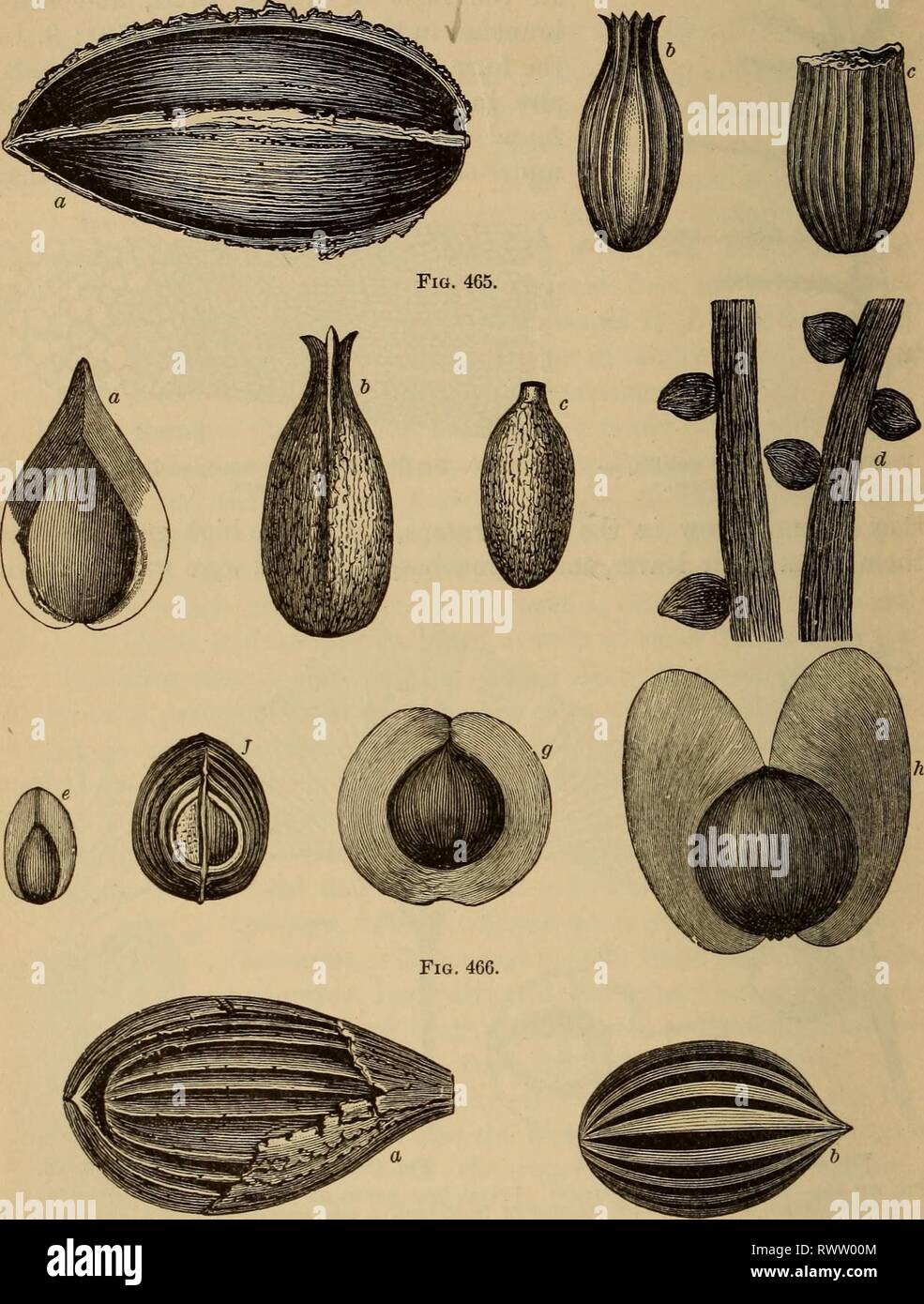 Elements of geology a Stock Photo - Alamy