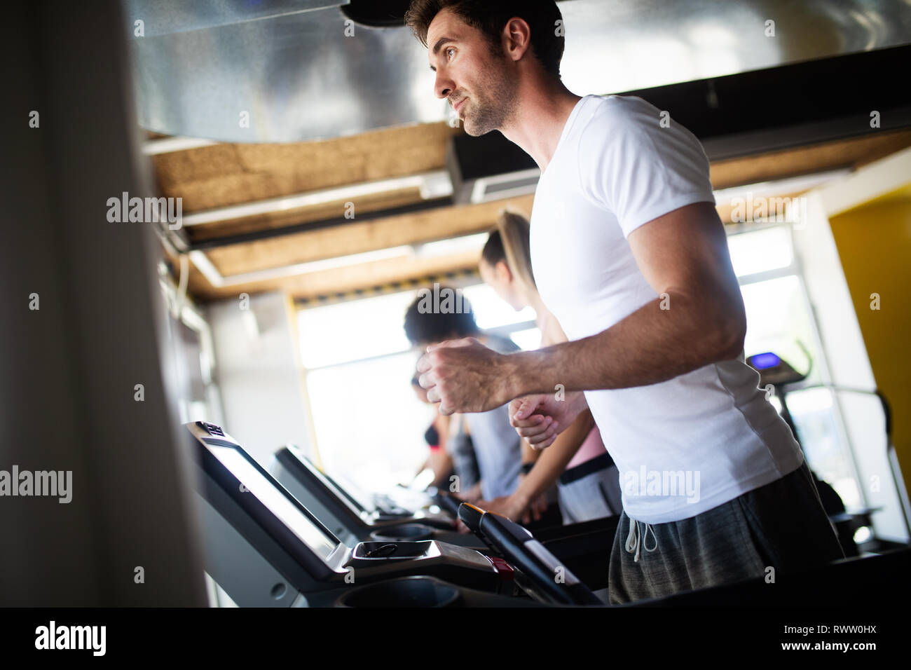 Group of healthy fit people at the gym exercising Stock Photo - Alamy