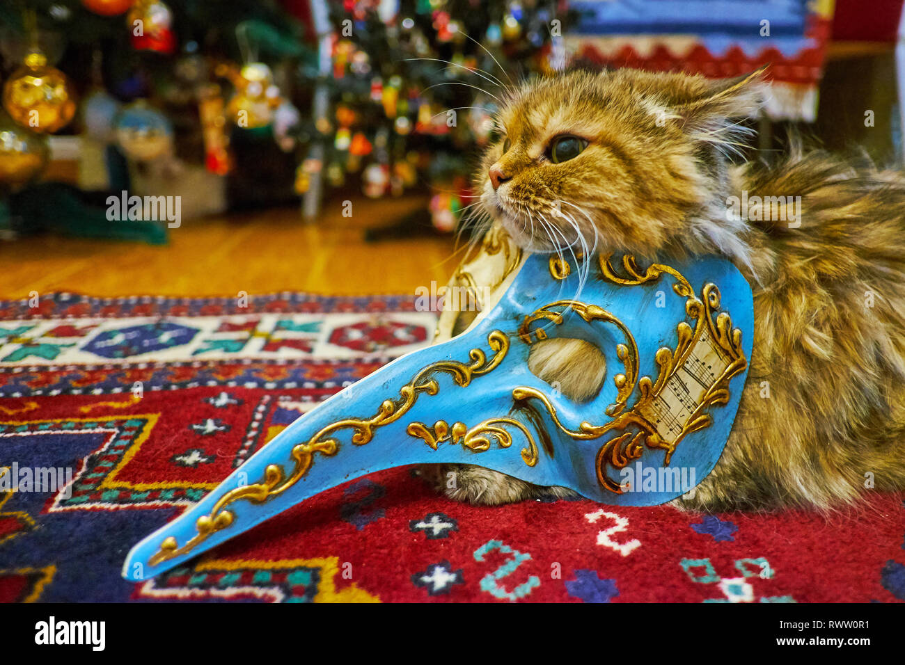 The pussycat poses with plague doctor Venice carnival mask, decorated ...