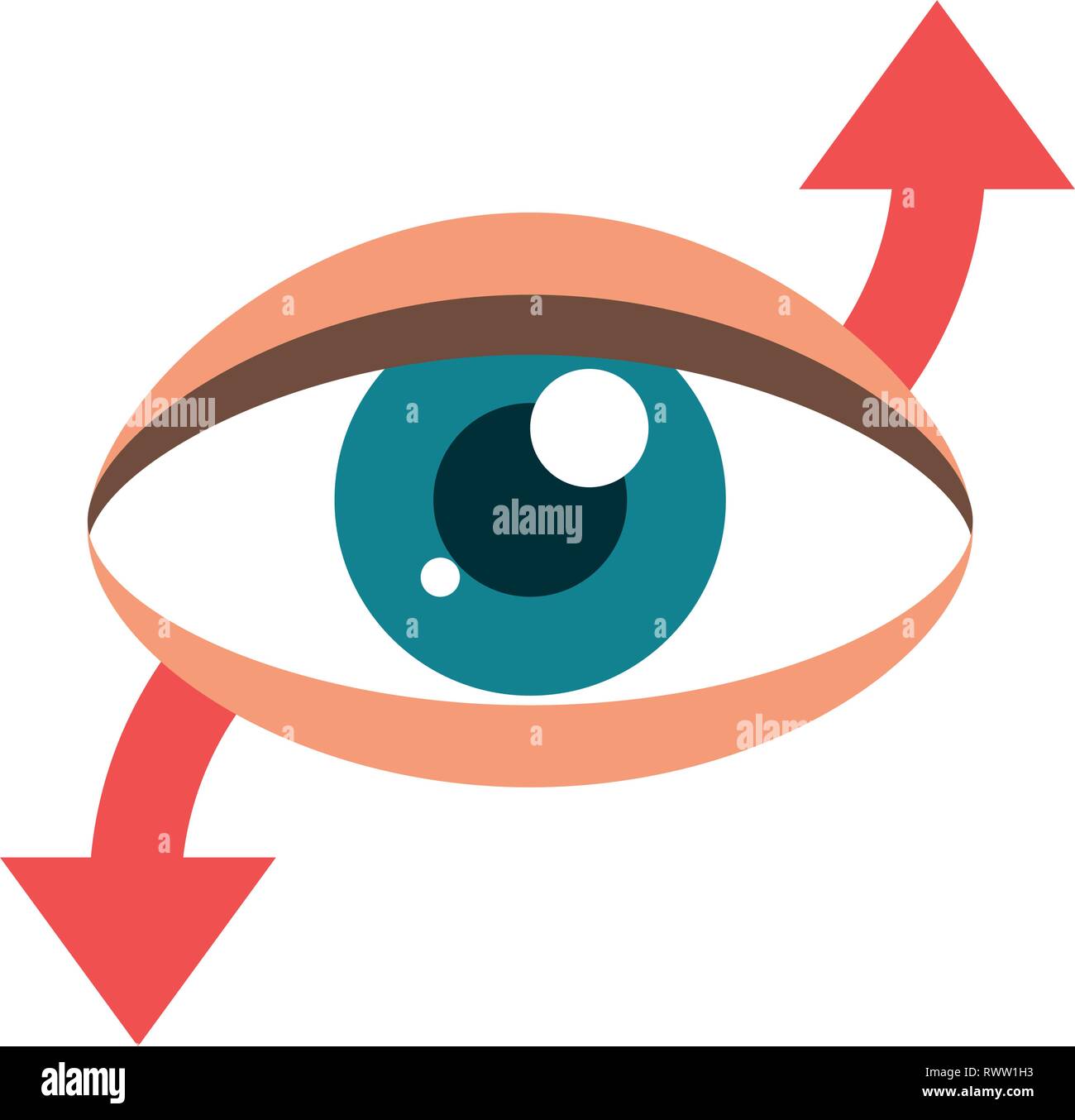 Eye close up human anatomy Stock Vector Images - Alamy