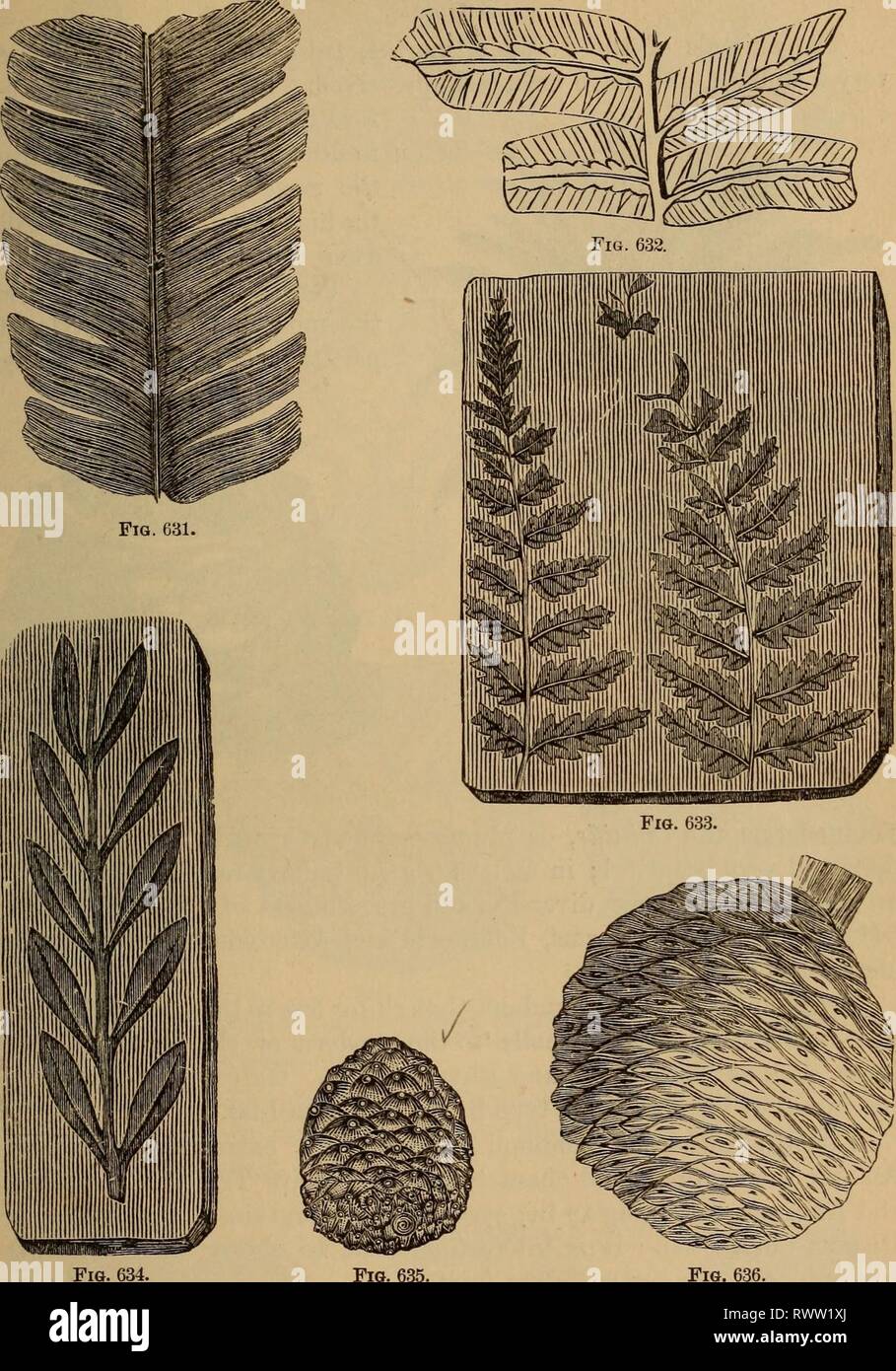 Elements of geology a Stock Photo - Alamy