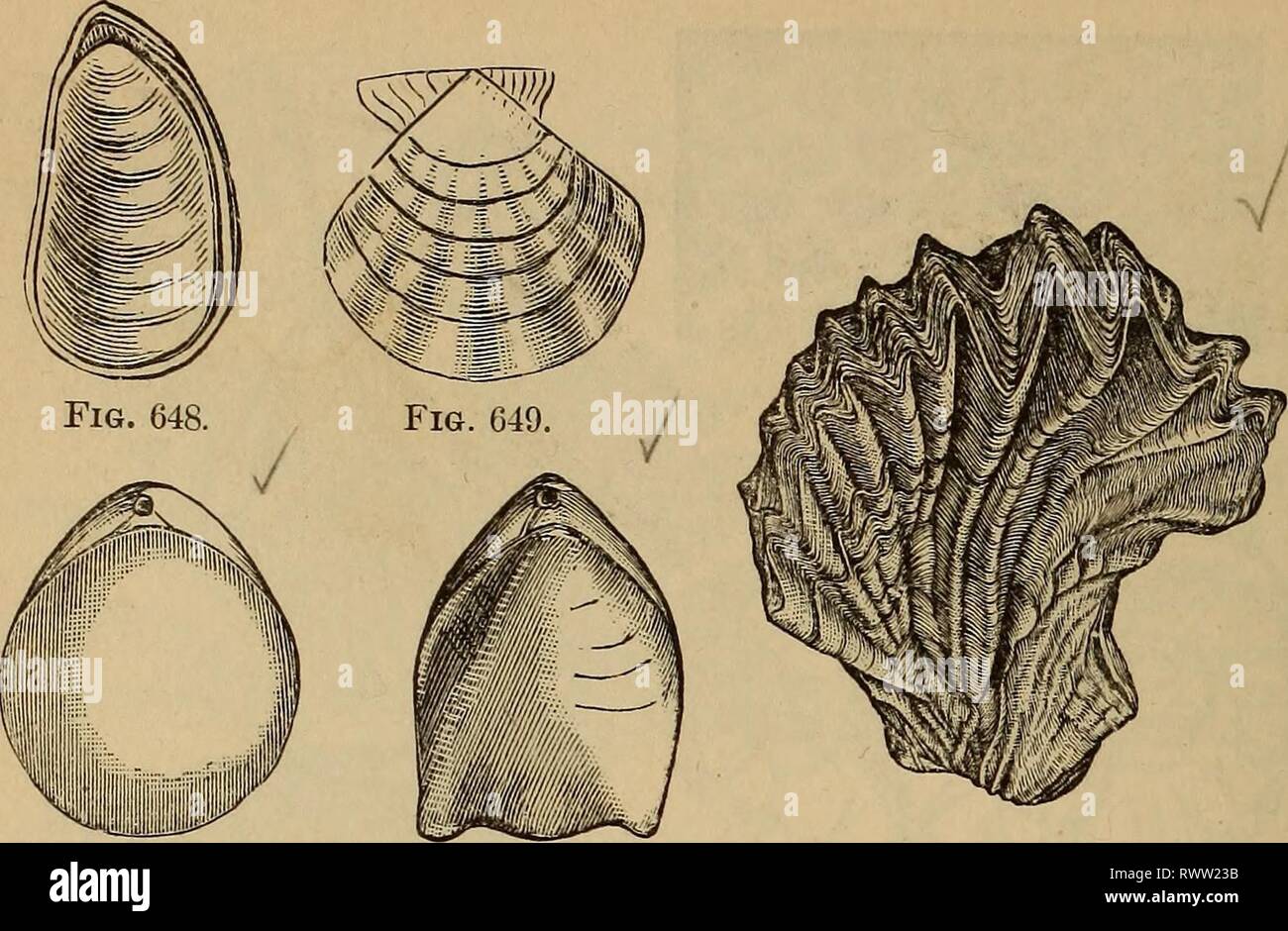 Elements of geology a Stock Photo - Alamy