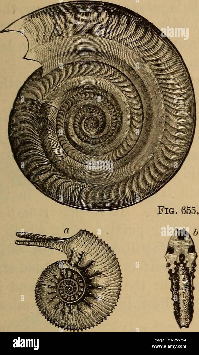 Elements of geology a Stock Photo - Alamy