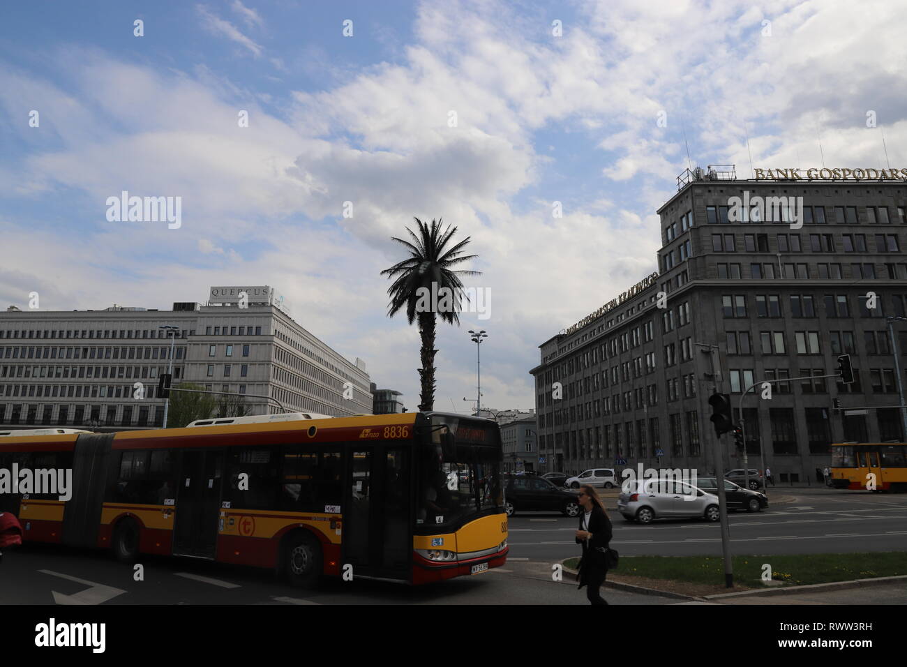 Palm tree warsaw poland hi-res stock photography and images - Alamy