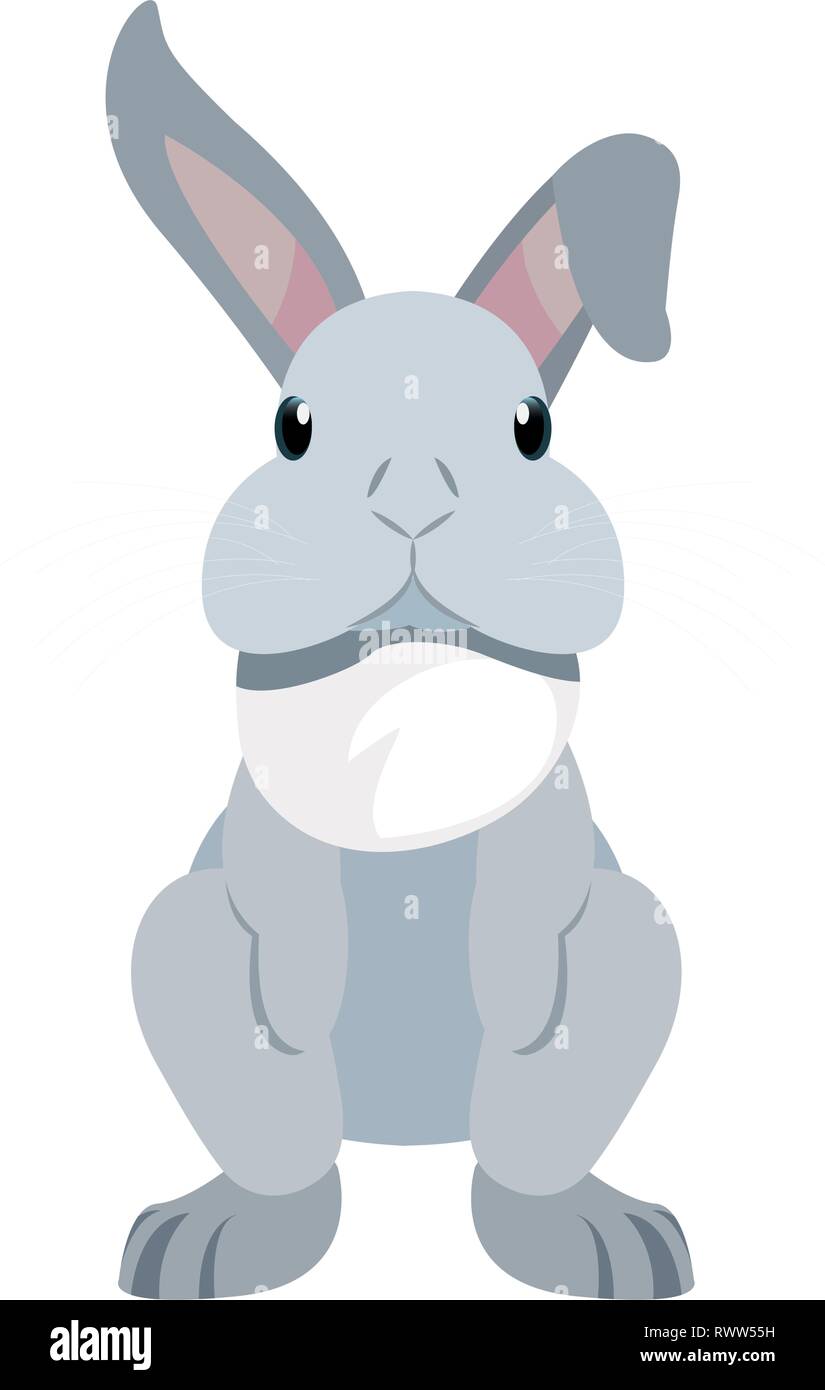 cute rabbit animal on white background vector illustration Stock Vector ...