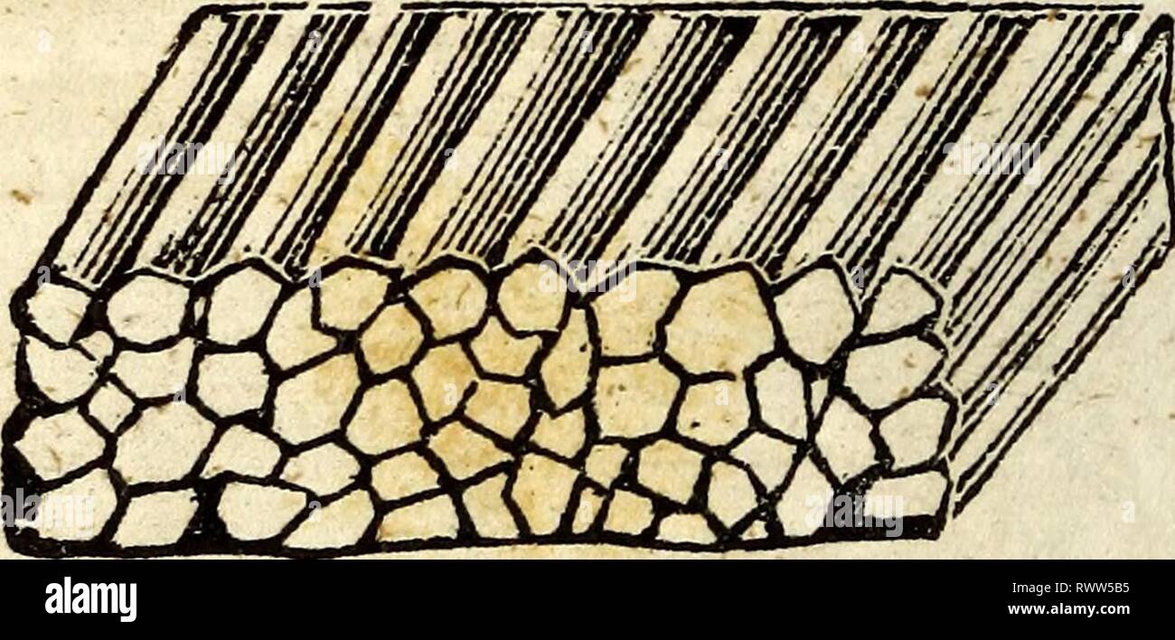The elements of geology, for Stock Photo - Alamy