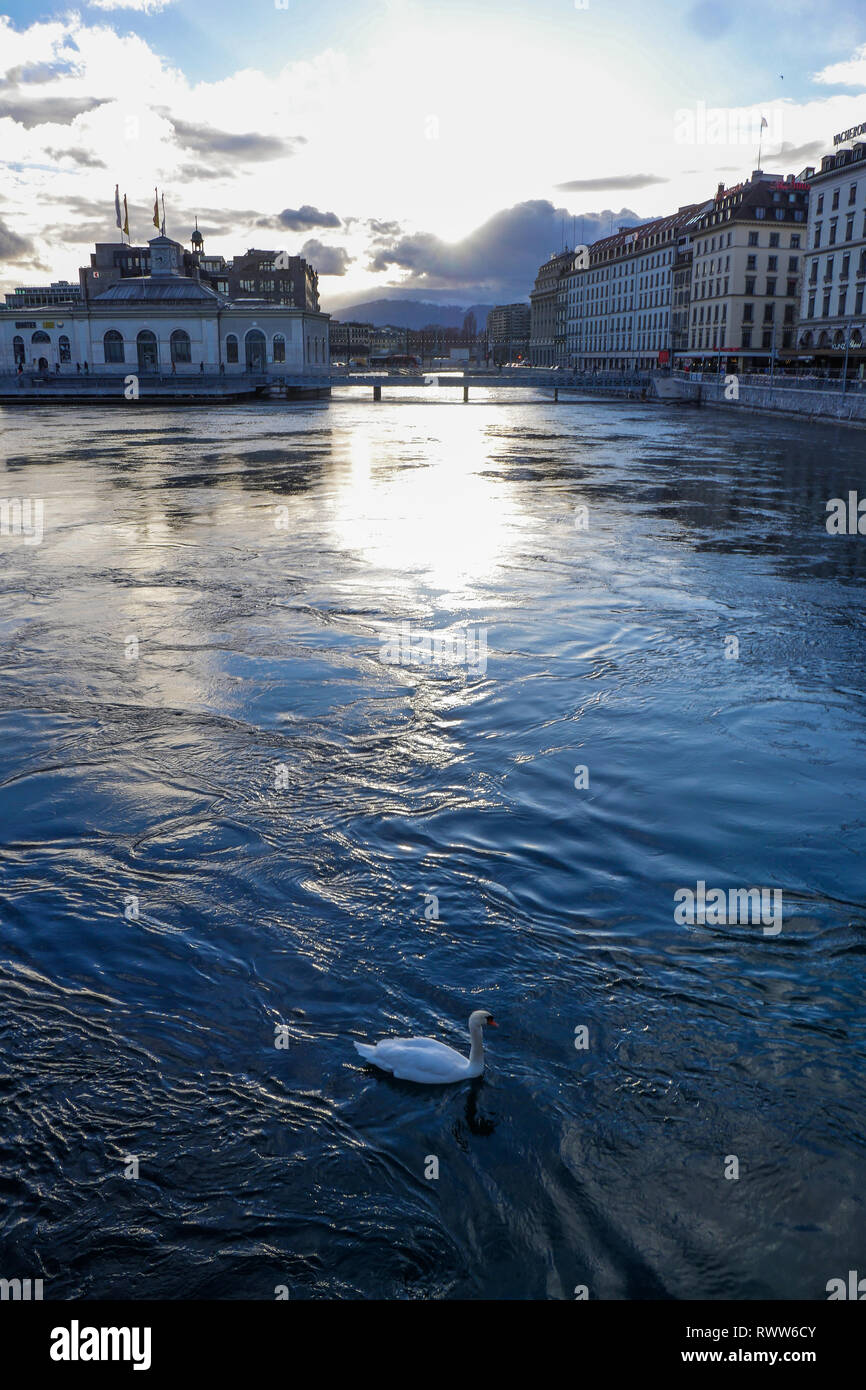 Twilight on the Rhone river, Geneva, Swiss Stock Photo - Alamy