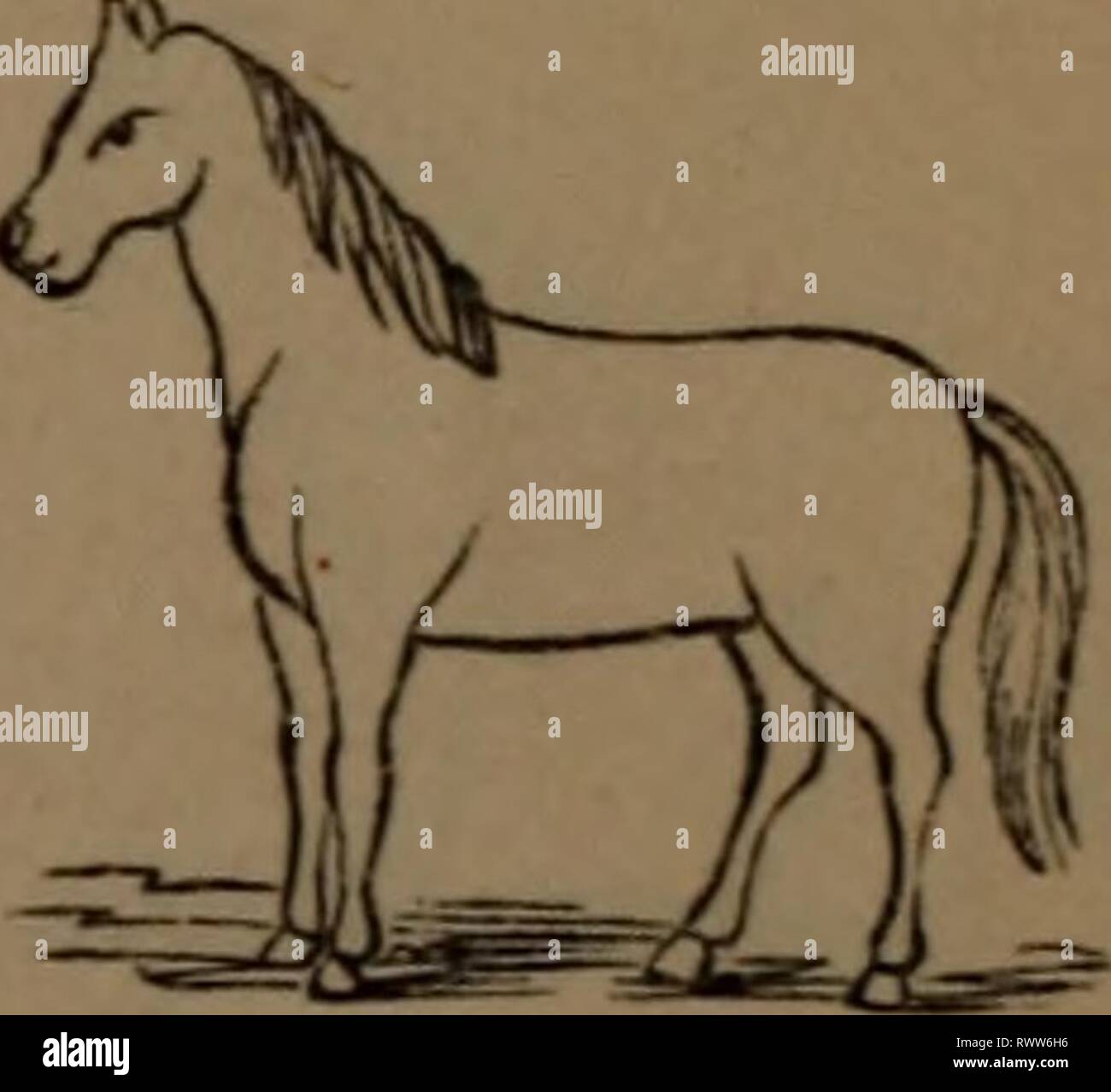 Elliot's book of forms; (1881 Stock Photo - Alamy