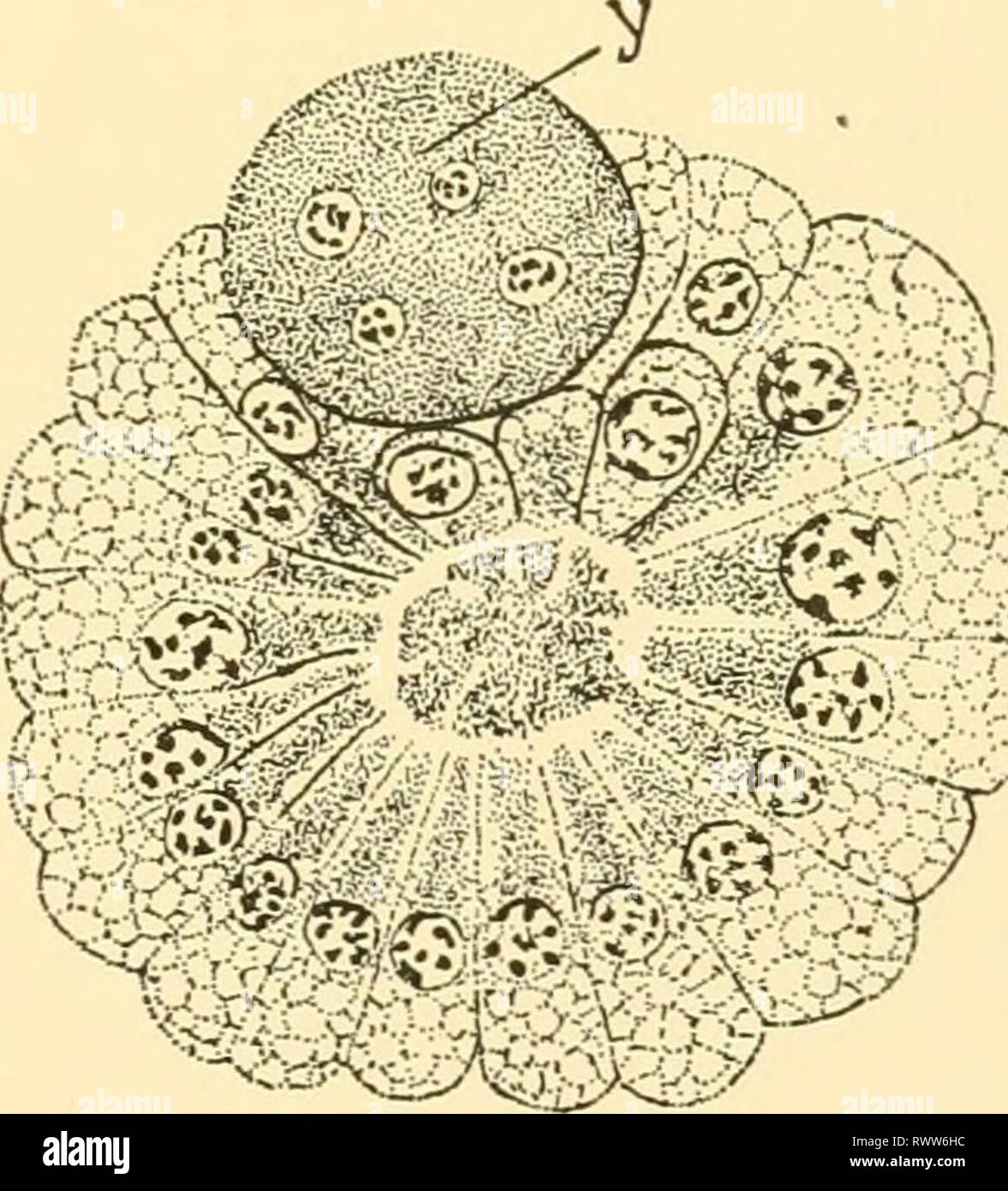 Eccentric position hi-res stock photography and images - Alamy