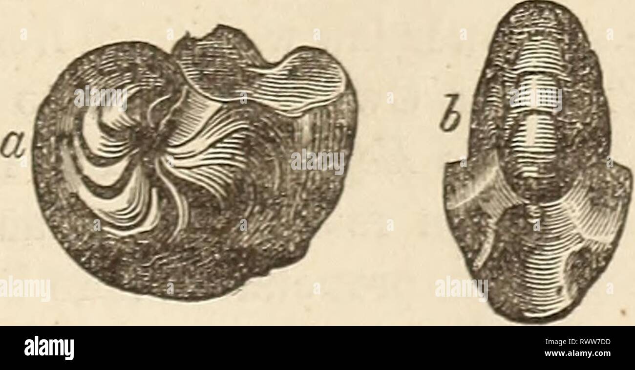 Elements of geology, or, The Stock Photo - Alamy