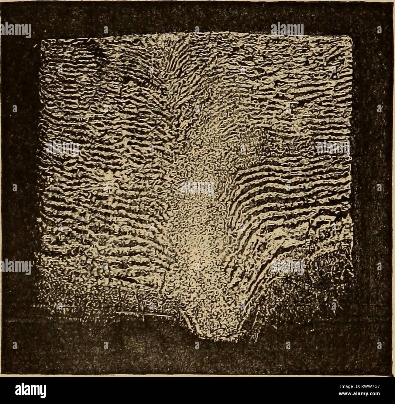 Elements of geology a Stock Photo - Alamy