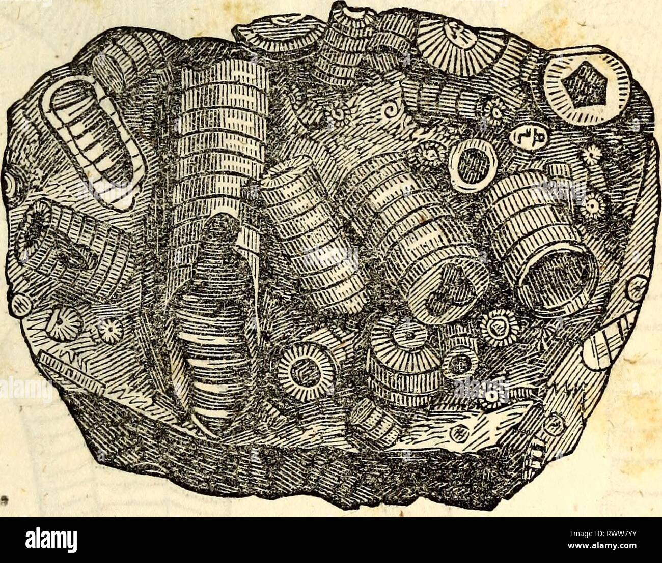 The elements of geology, for Stock Photo - Alamy