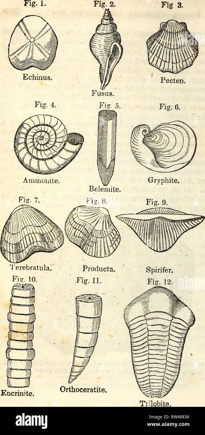 The elements of geology, for Stock Photo - Alamy