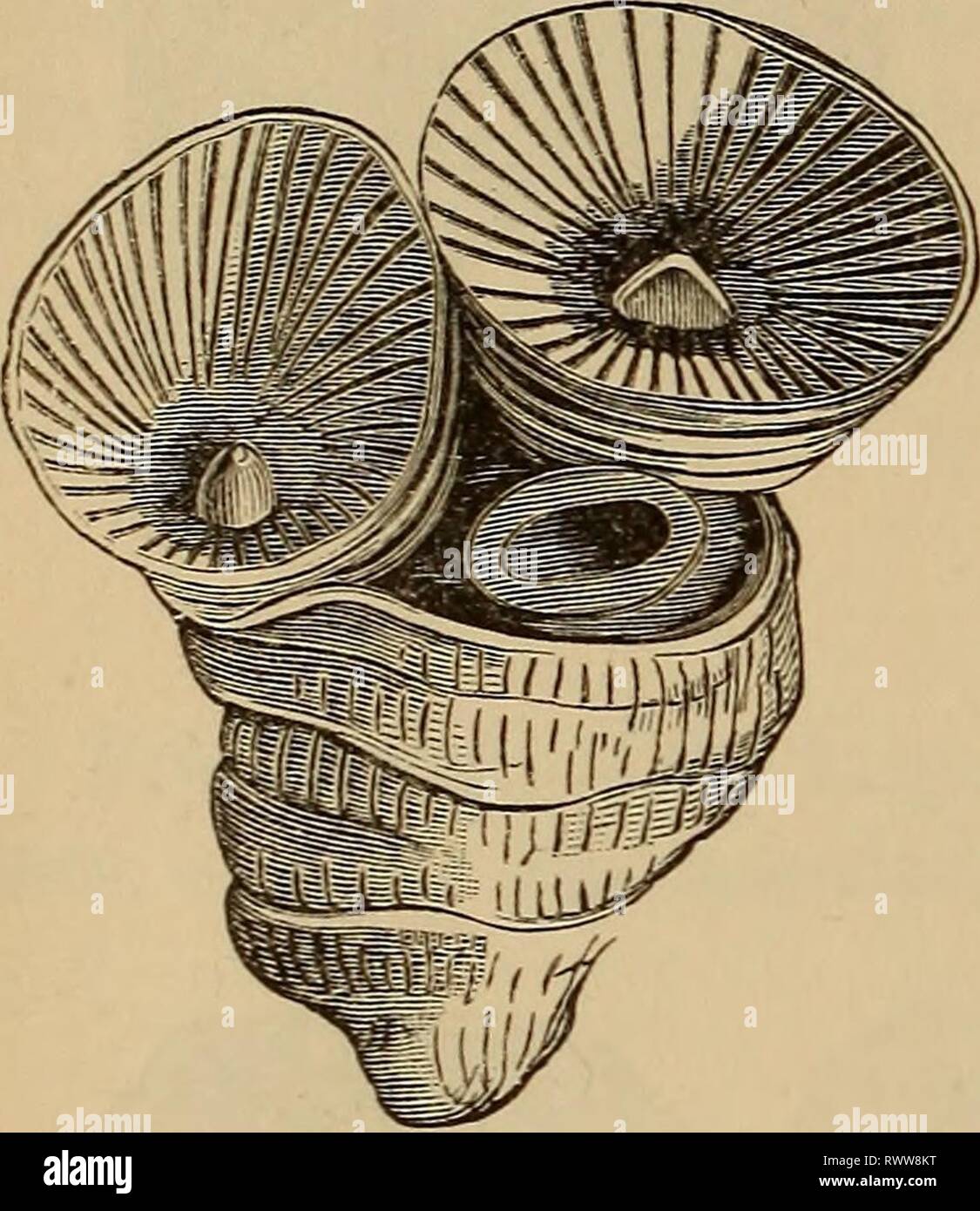 Elements of geology a Stock Photo - Alamy