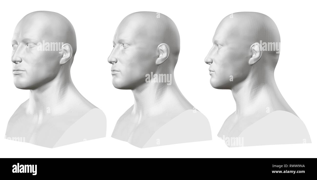 Vector set of isolated male busts of mannequins on white background. 3D ...