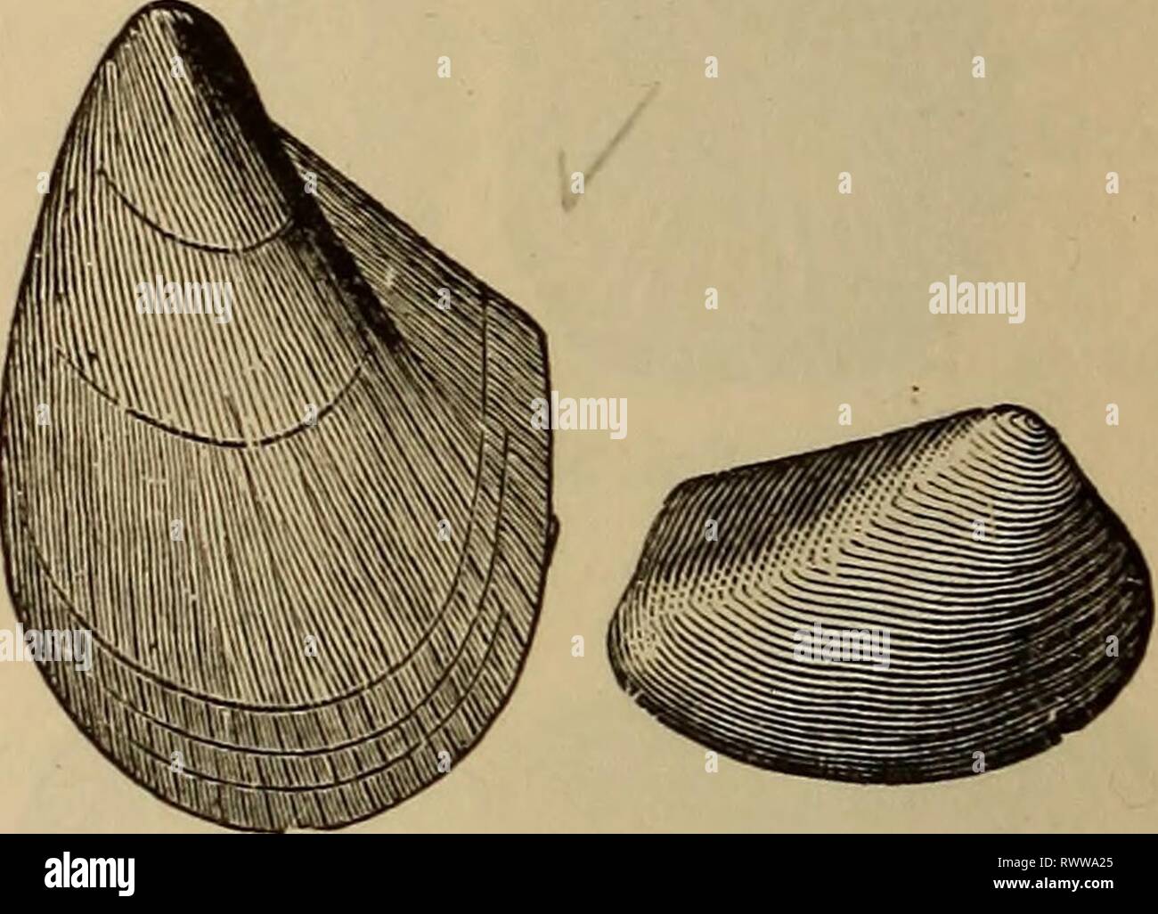 Elements of geology a Stock Photo - Alamy