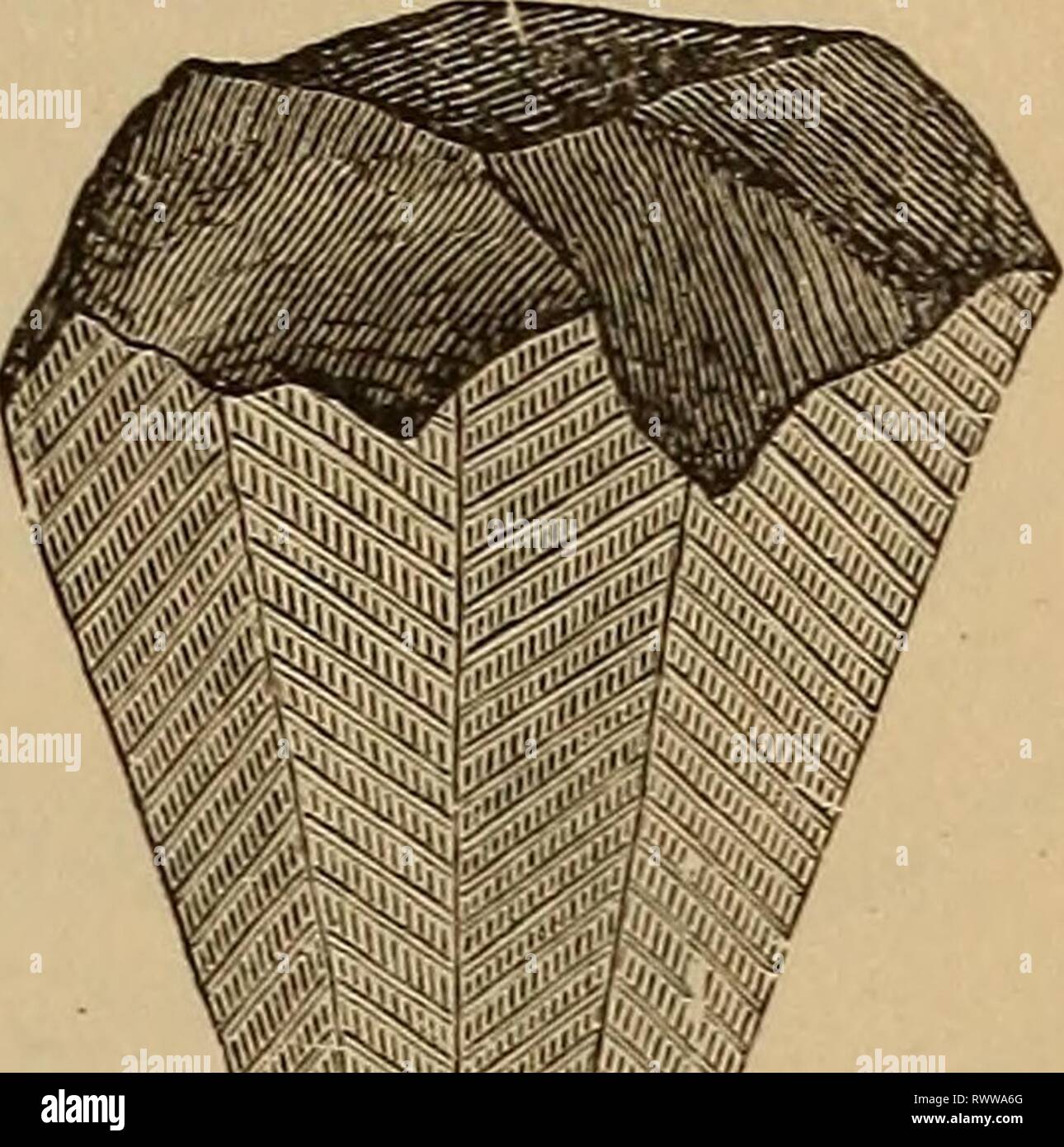 Elements of geology a Stock Photo - Alamy