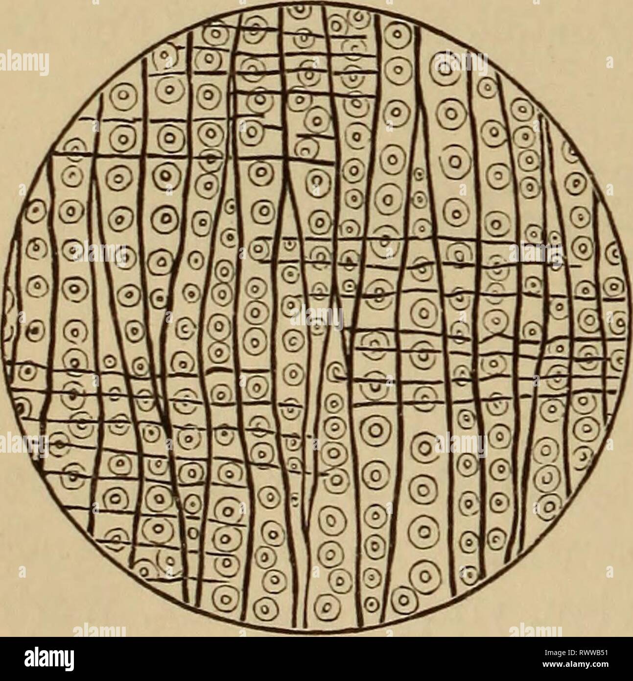 Elements of geology a Stock Photo - Alamy