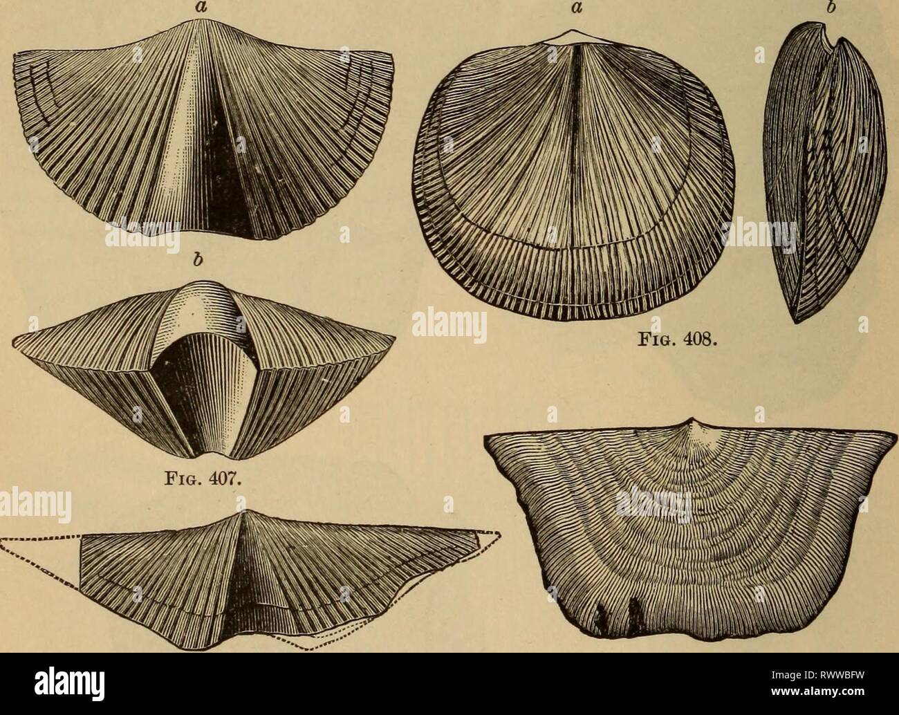Elements of geology a Stock Photo - Alamy