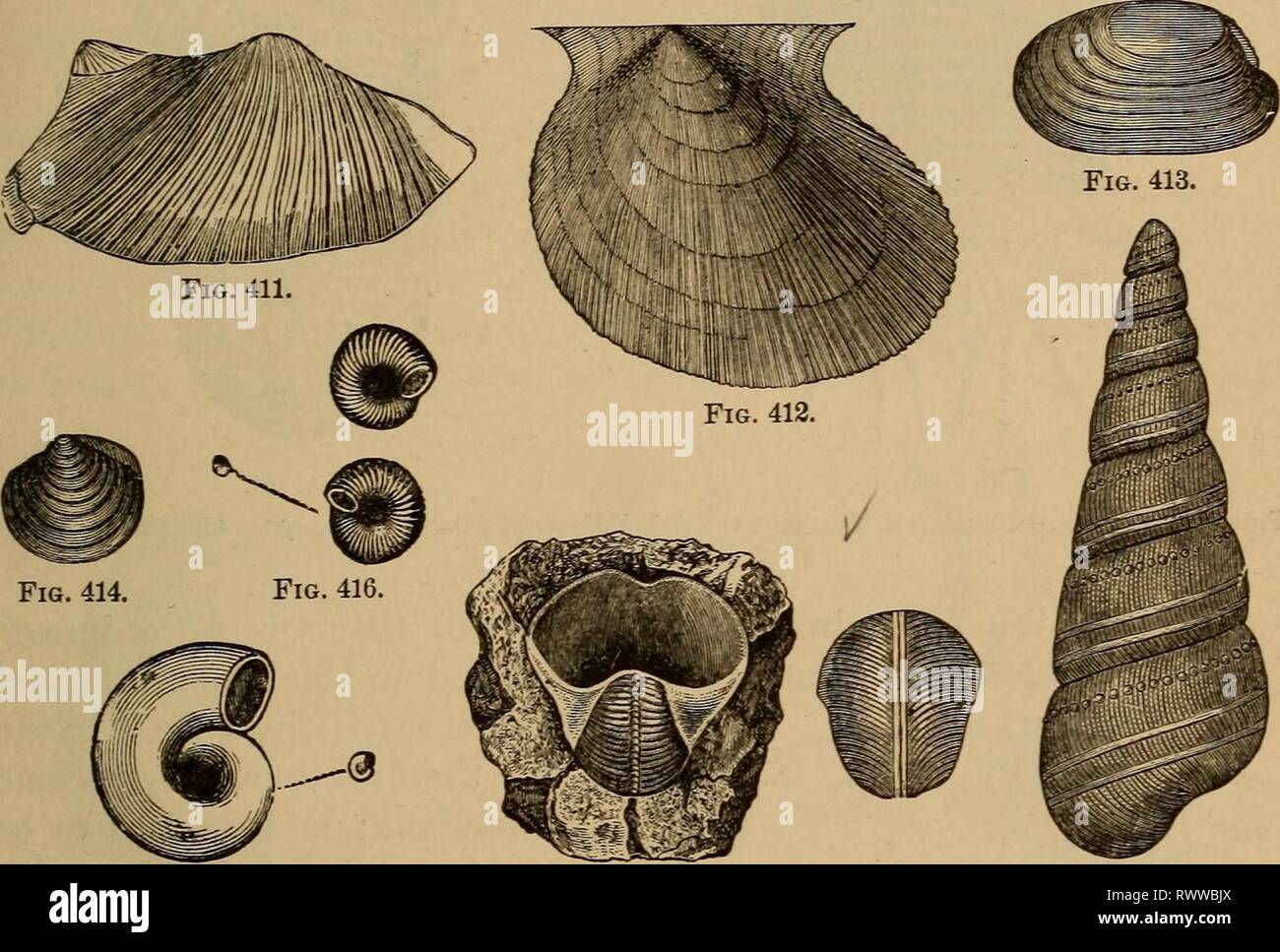 Elements of geology a Stock Photo - Alamy