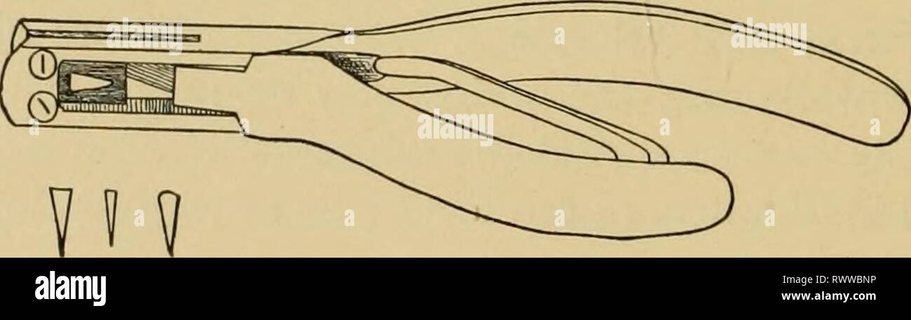 Elementary entomology (1912) Elementary entomology ...