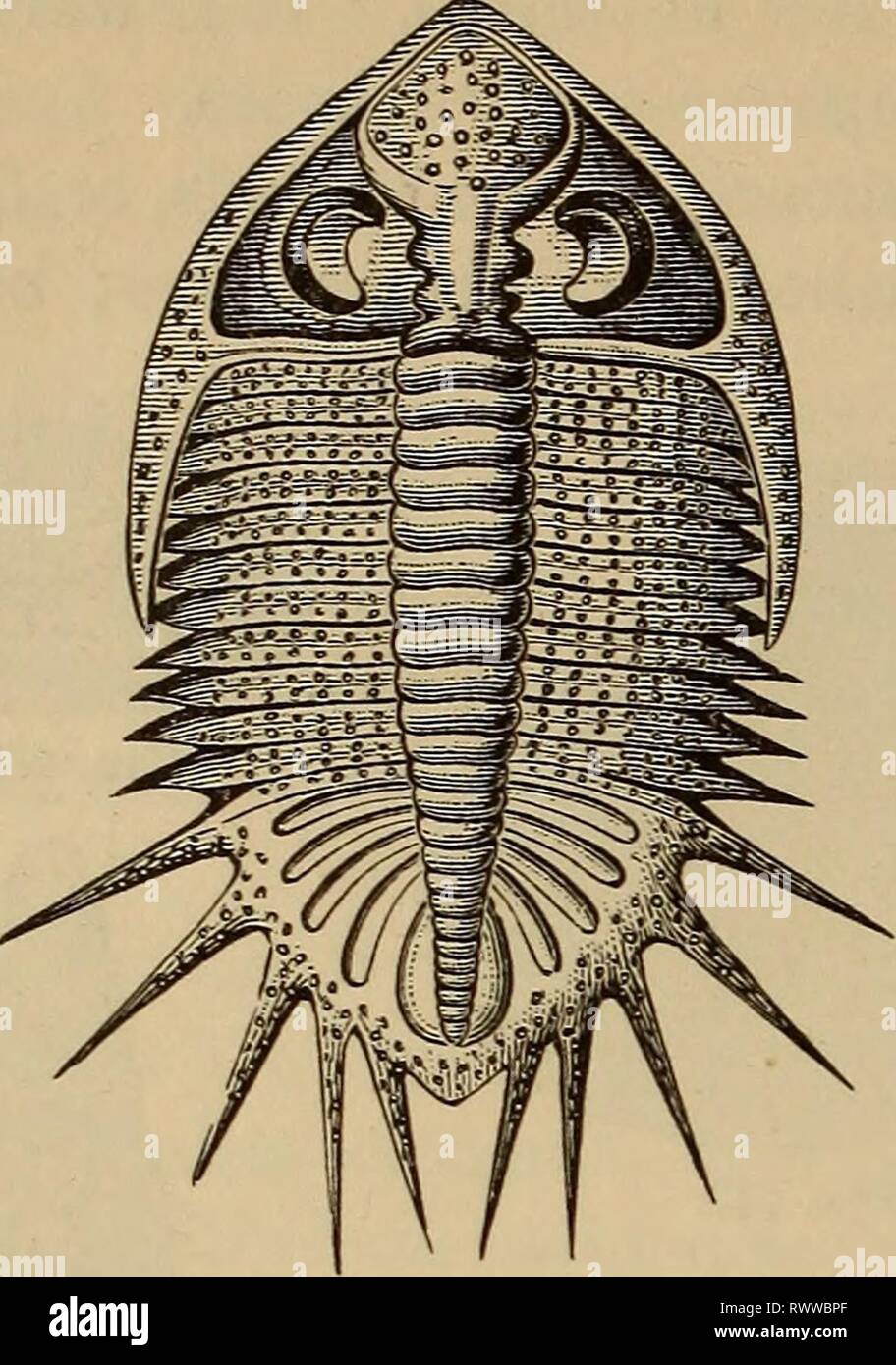 Elements of geology a Stock Photo - Alamy
