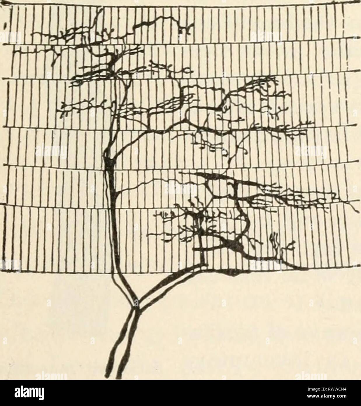 Forming sharp angles hi-res stock photography and images - Alamy