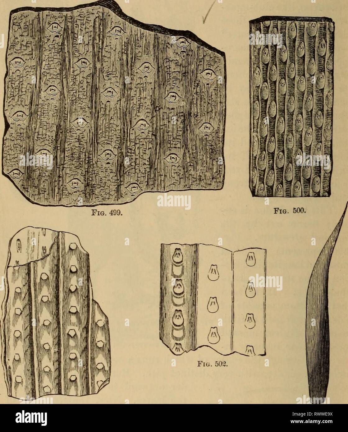 Elements of geology a Stock Photo - Alamy