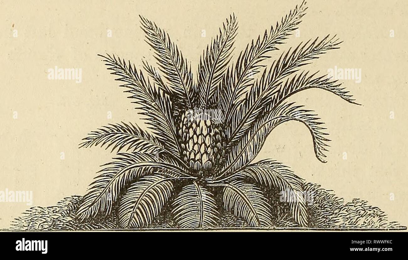 Elements of geology, or, The Elements of geology, or, The ancient ...