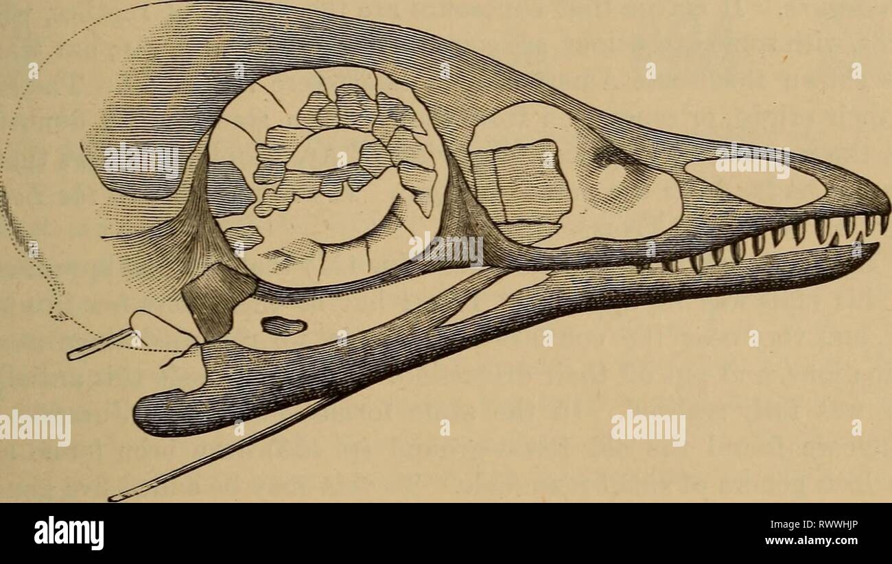 Elements of geology a Stock Photo - Alamy