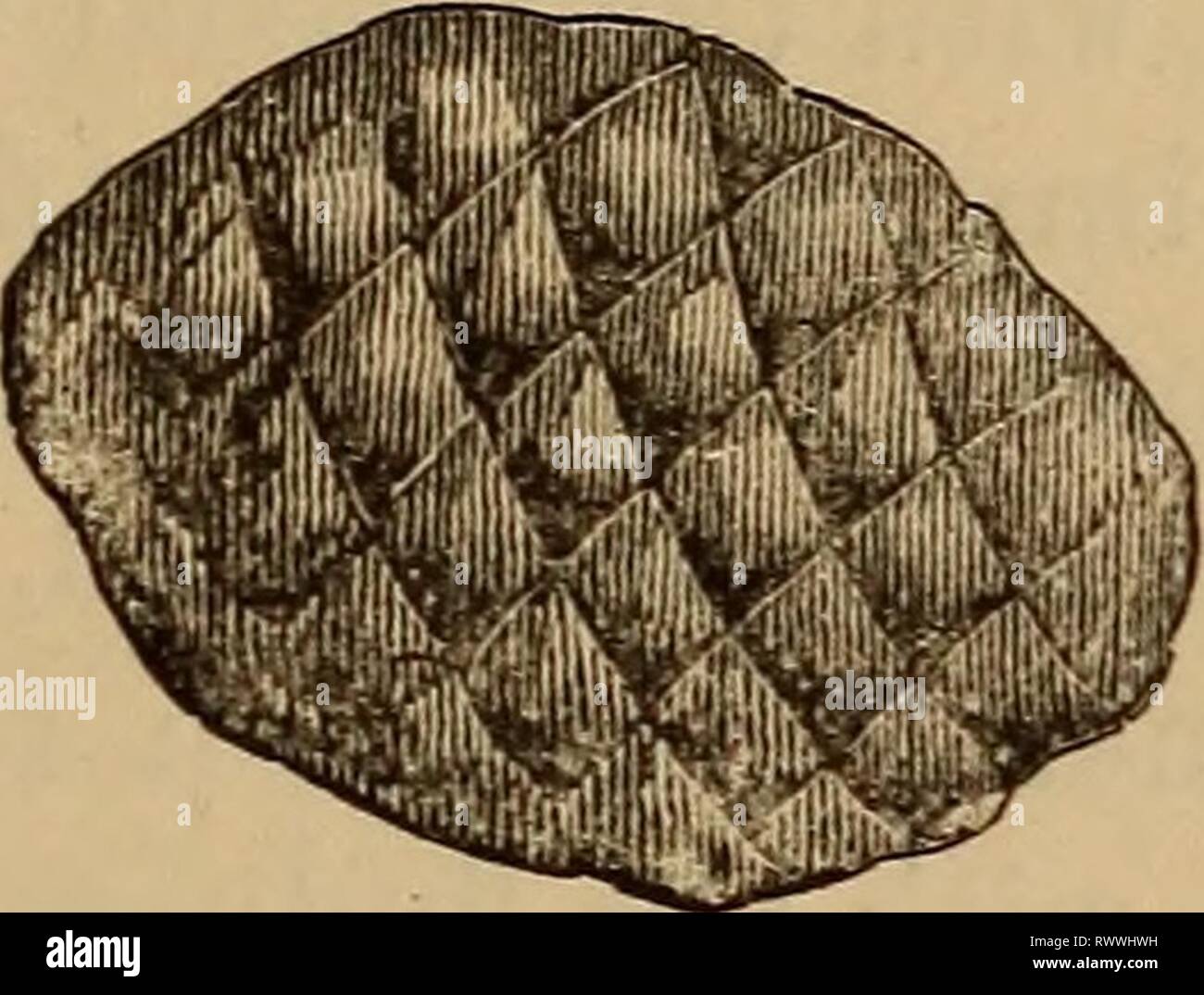 Elements of geology a Stock Photo - Alamy
