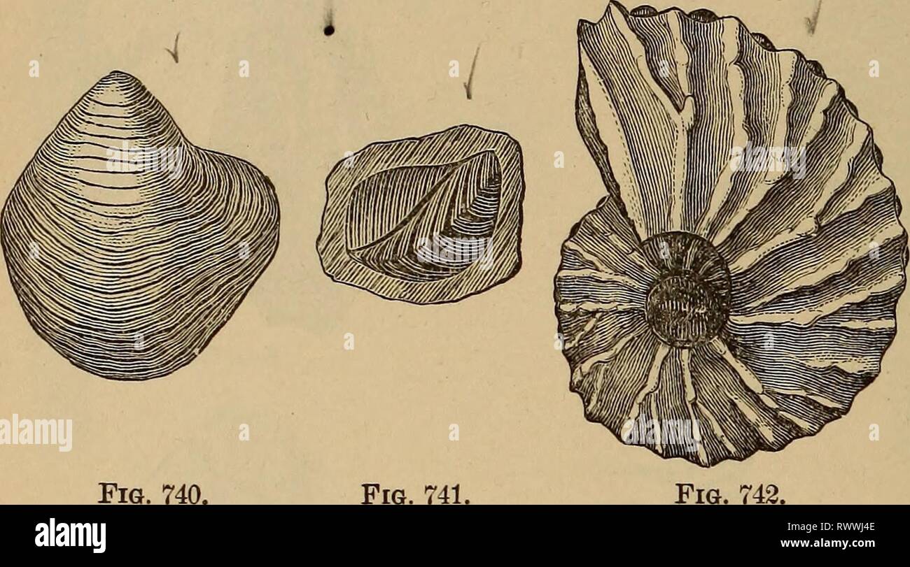 Elements of geology a Stock Photo - Alamy