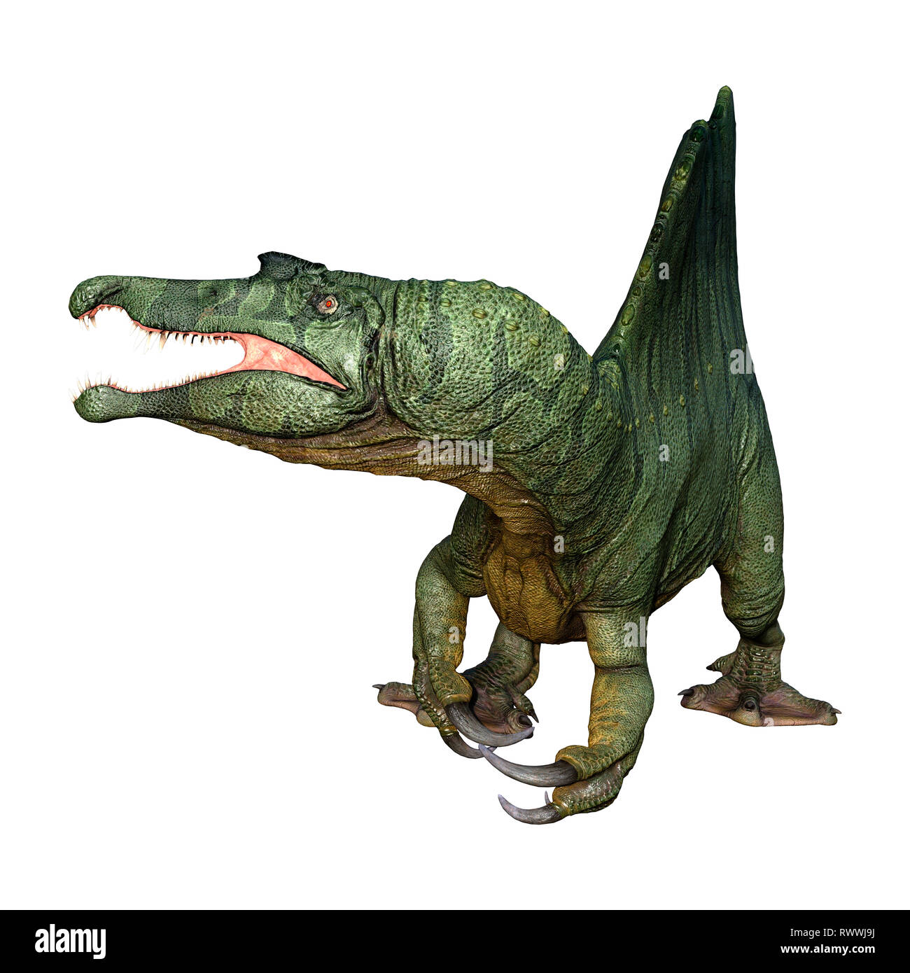 3D rendering of a dinosaur Spinosaurus isolated on white background ...