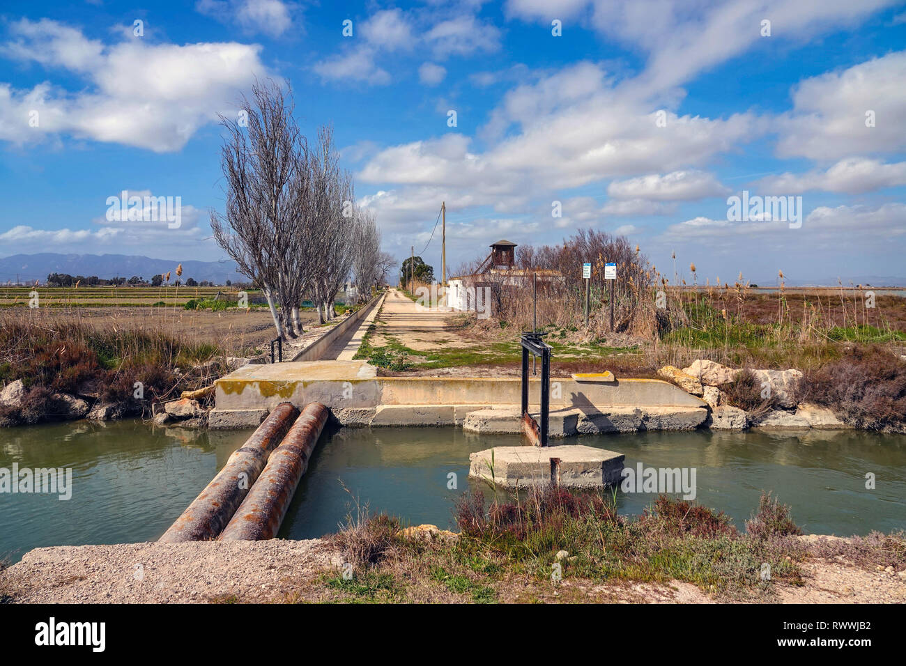 Ebro delta landscape hi-res stock photography and images - Alamy