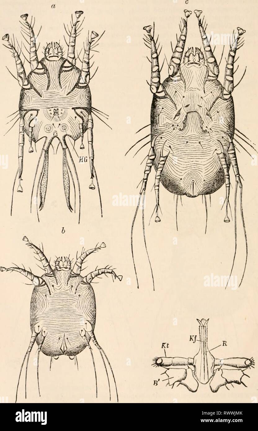 Eqid hi-res stock photography and images - Alamy