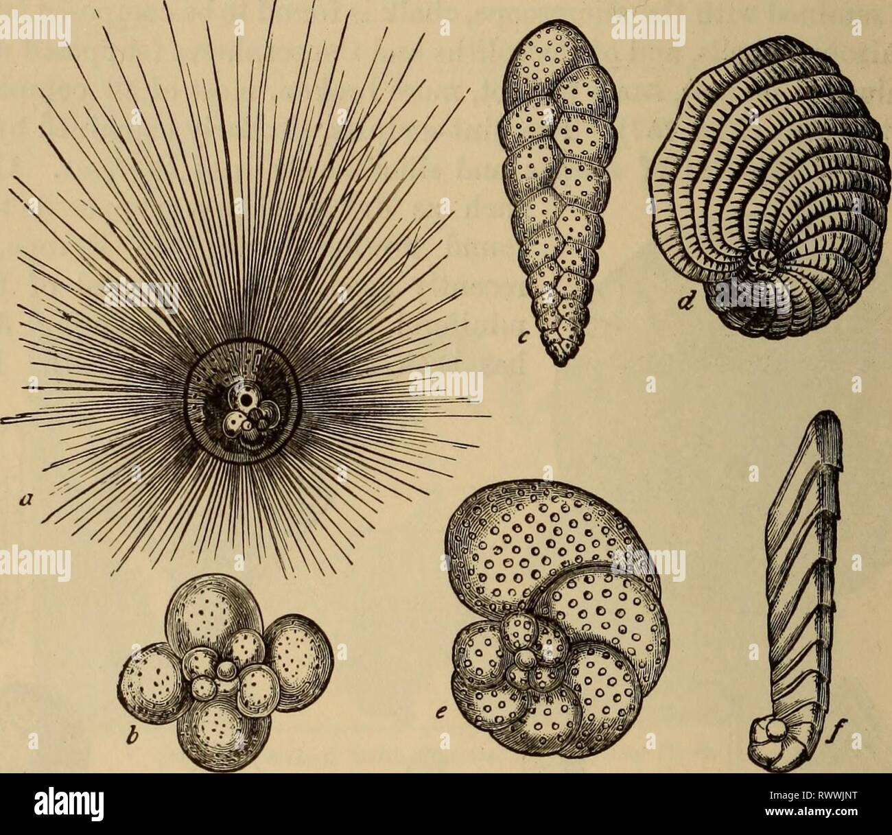 Elements of geology a Stock Photo - Alamy