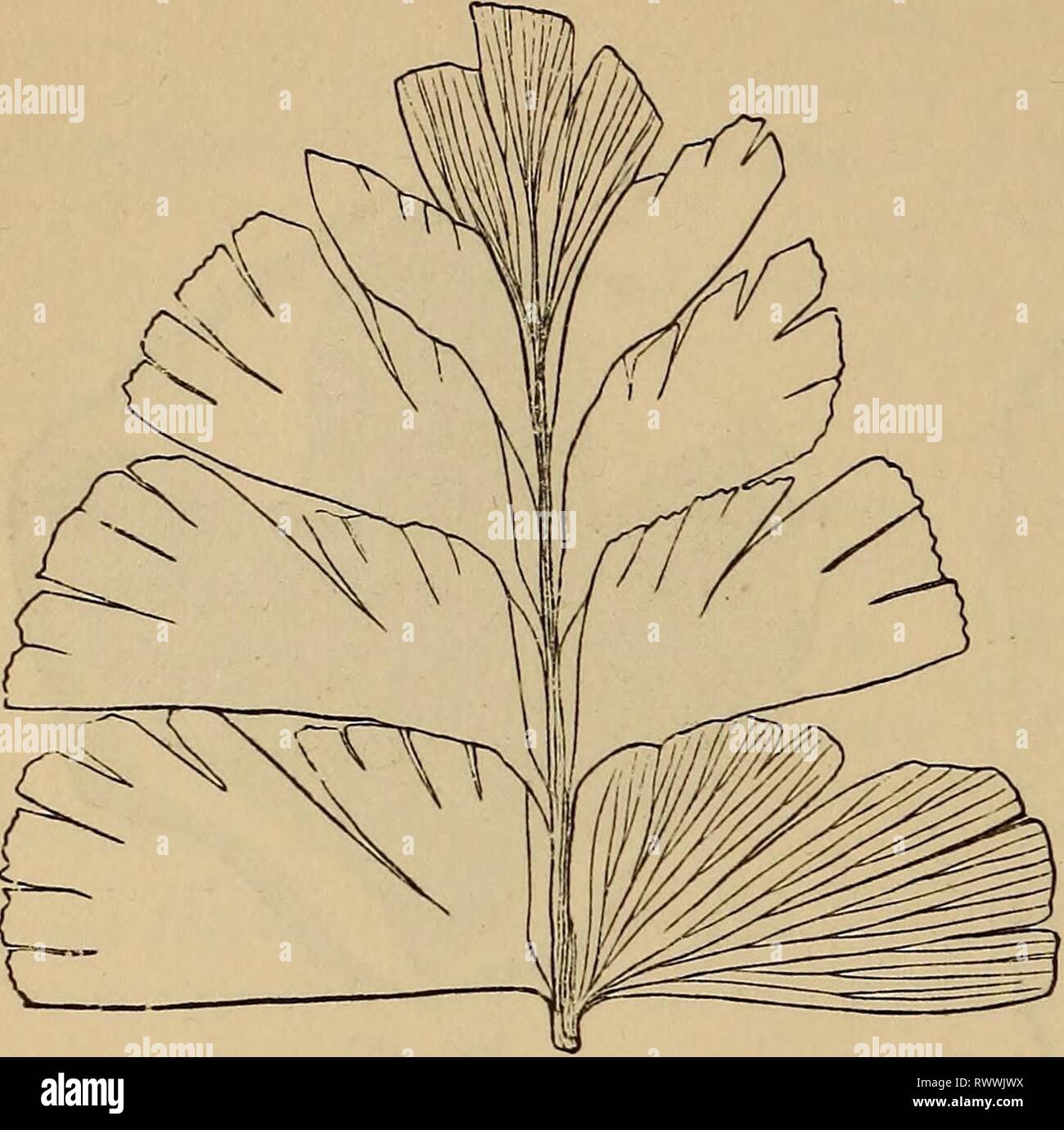 Elements of geology a Stock Photo - Alamy